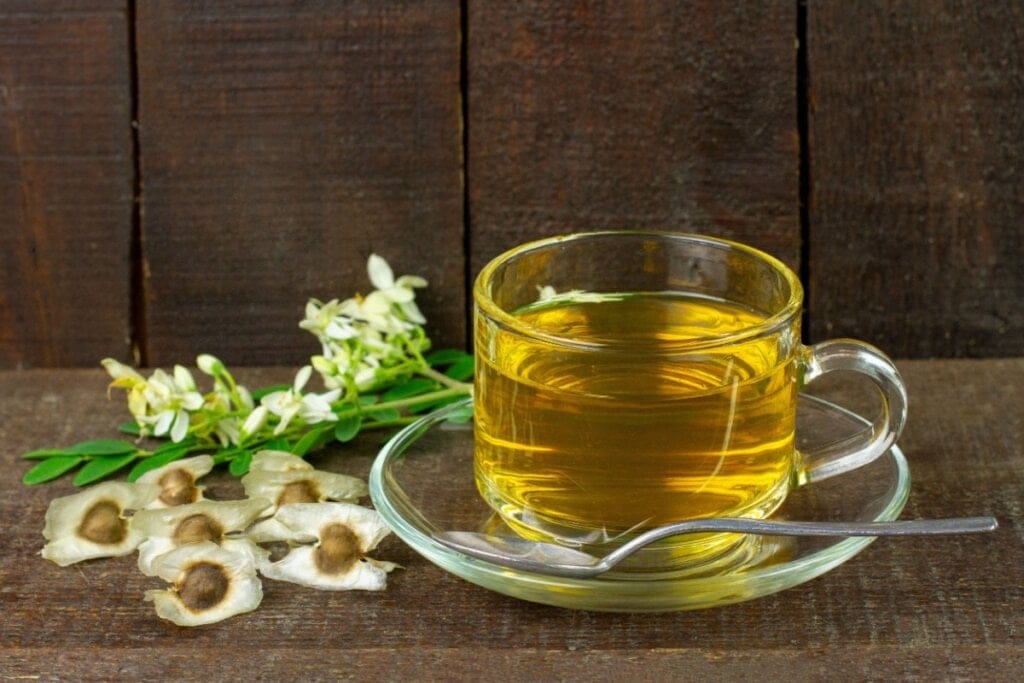 7 benefícios da planta medicinal moringa - O Diário de Mogi